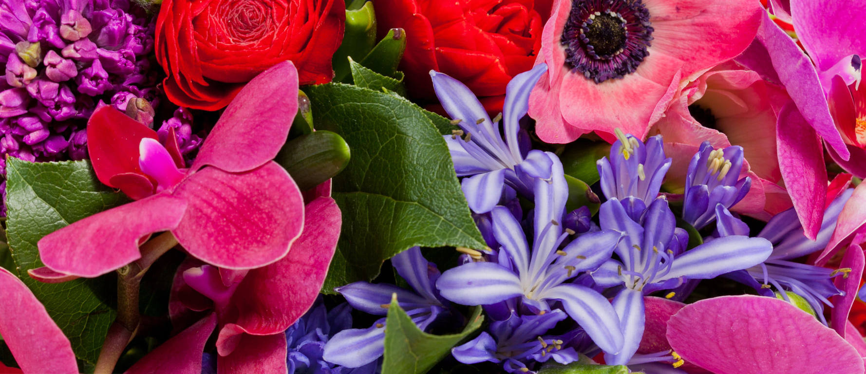 Flower Delivery Fargo - Florist Fargo ND | Shotwell Floral